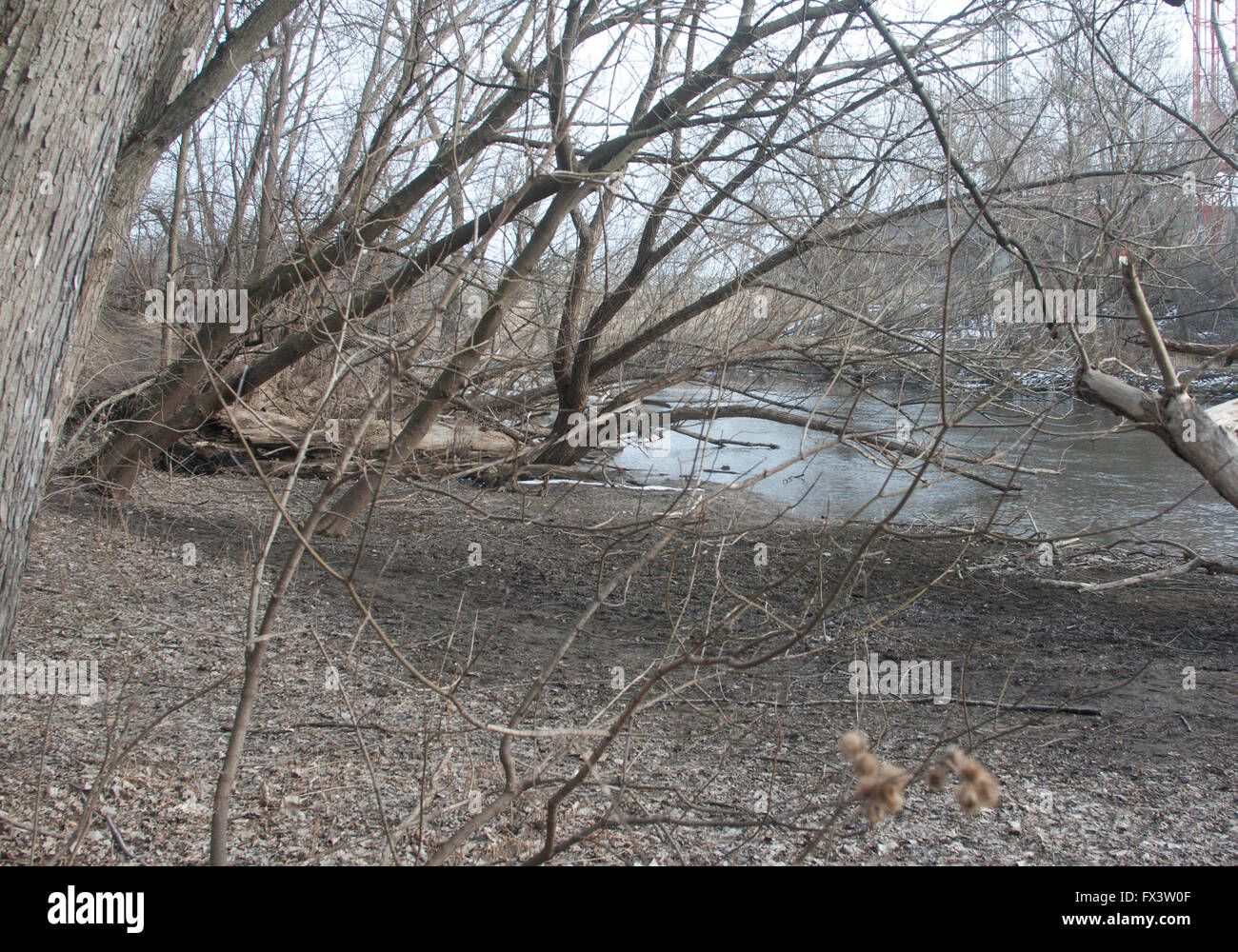 River early spring hi-res stock photography and images - Alamy