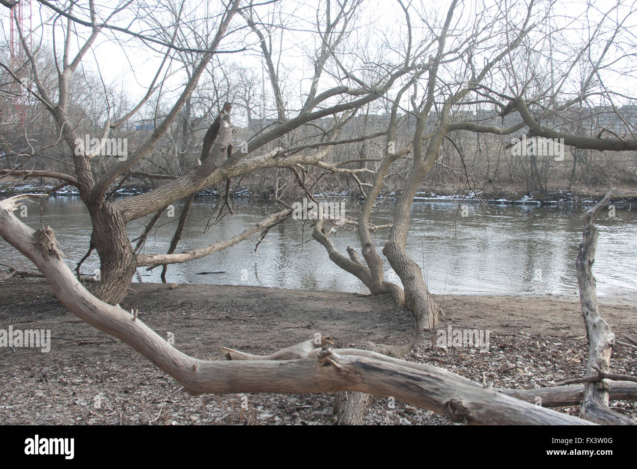 Spring river hi-res stock photography and images - Alamy