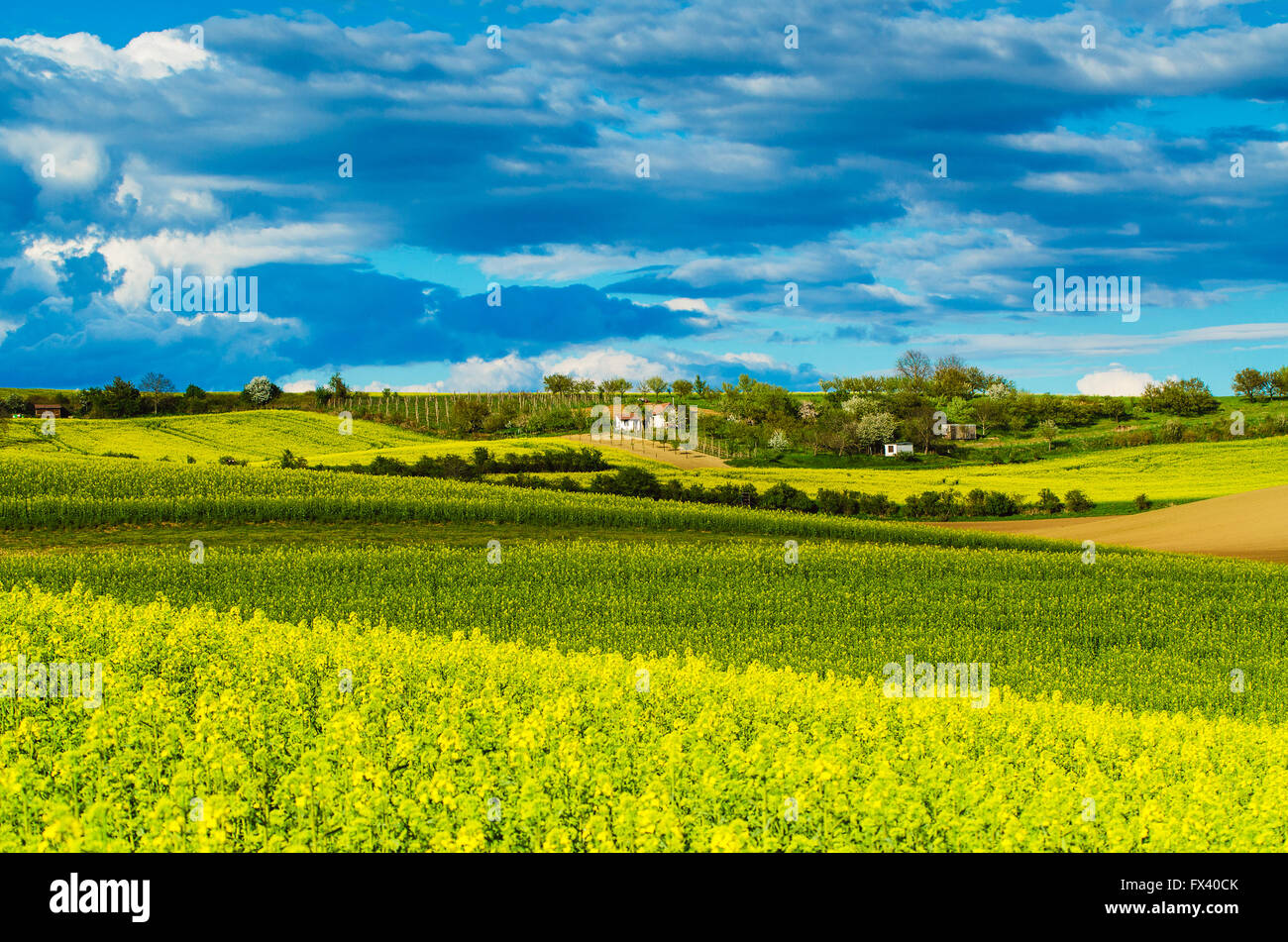 Rural spring landscape Stock Photo - Alamy