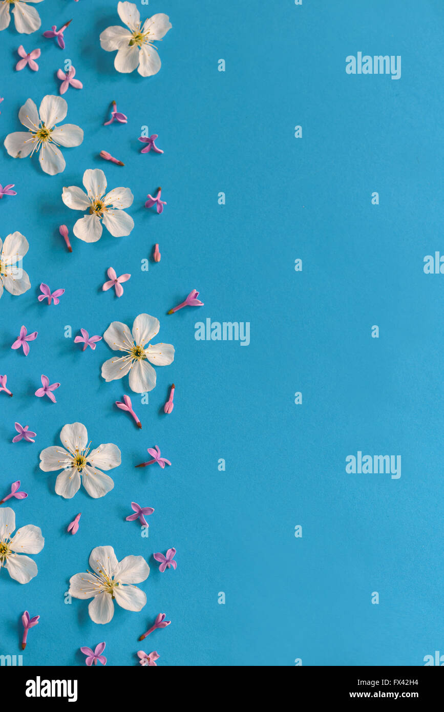 Beautiful blue background spring hi-res stock photography and images ...