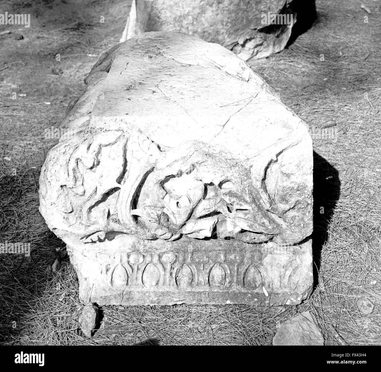 Destroyed column in black and white Black and White Stock Photos ...