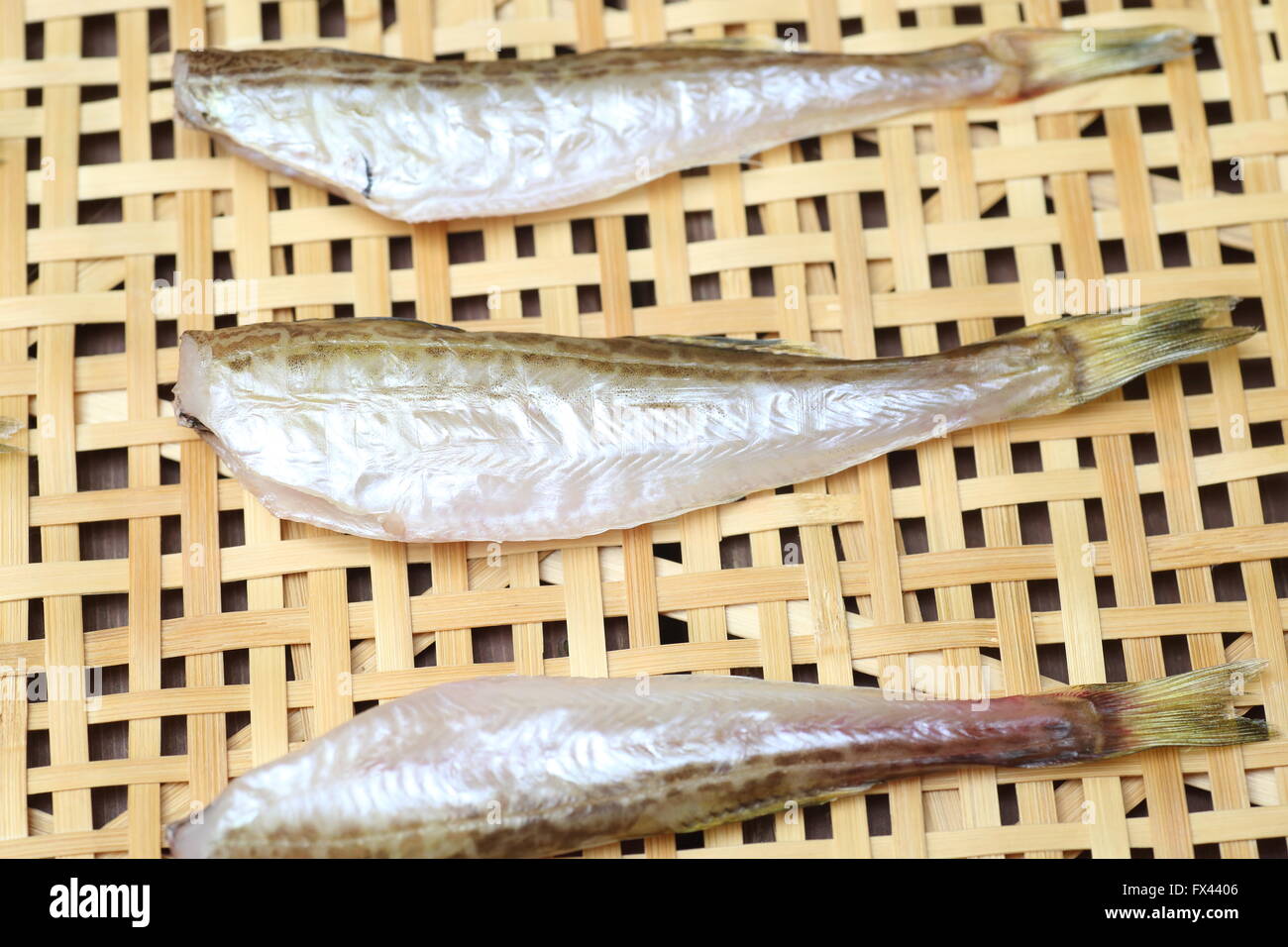 Sailfin sandfish (Arctoscopus japonicus) in Japan Stock Photo - Alamy