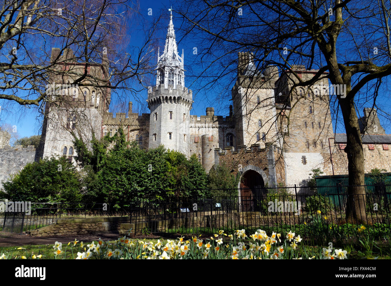 Daffodils castle tower spring hi-res stock photography and images - Alamy