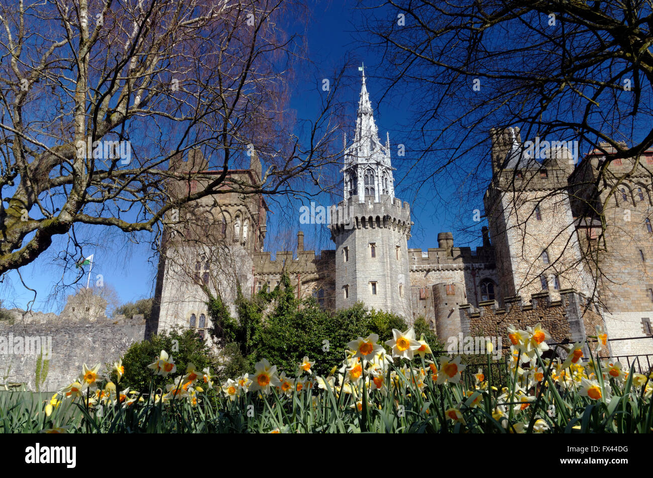 Cardiff spring flowers hi-res stock photography and images - Alamy