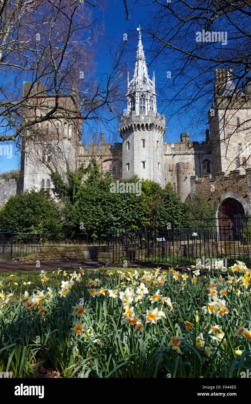 Daffodils castle tower spring hi-res stock photography and images - Alamy