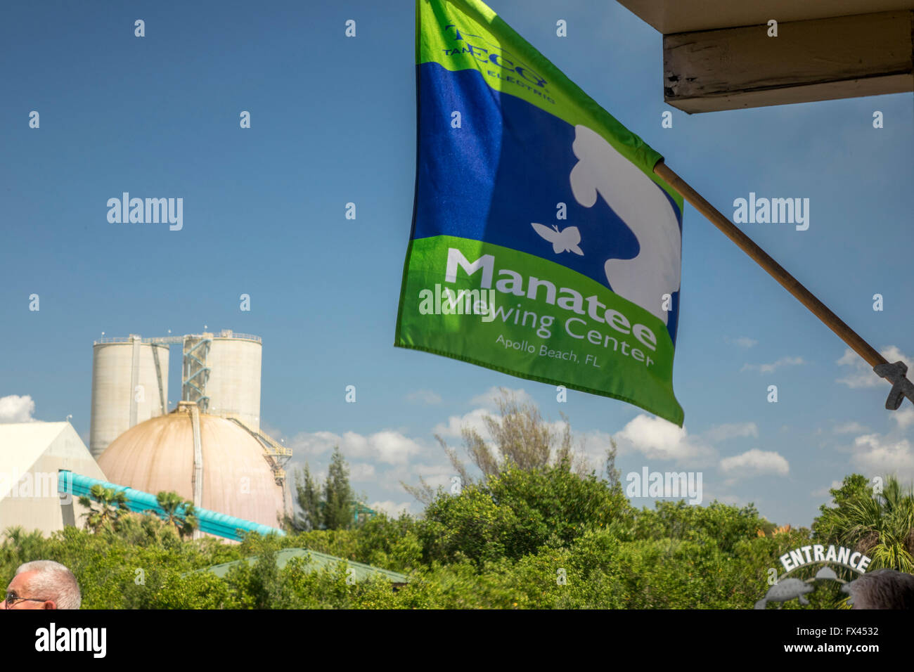 An Advertising Flag Of The Tampa Electric Manatee Viewing Center On The ...