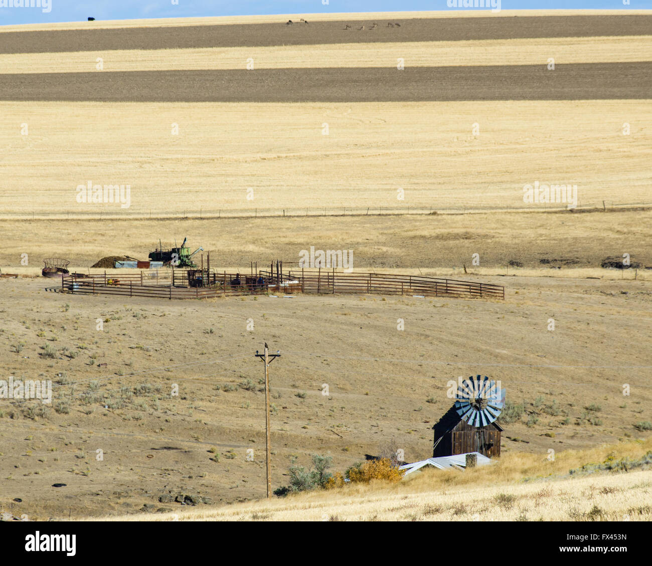 Wheat farm in eastern oregon hi-res stock photography and images - Alamy
