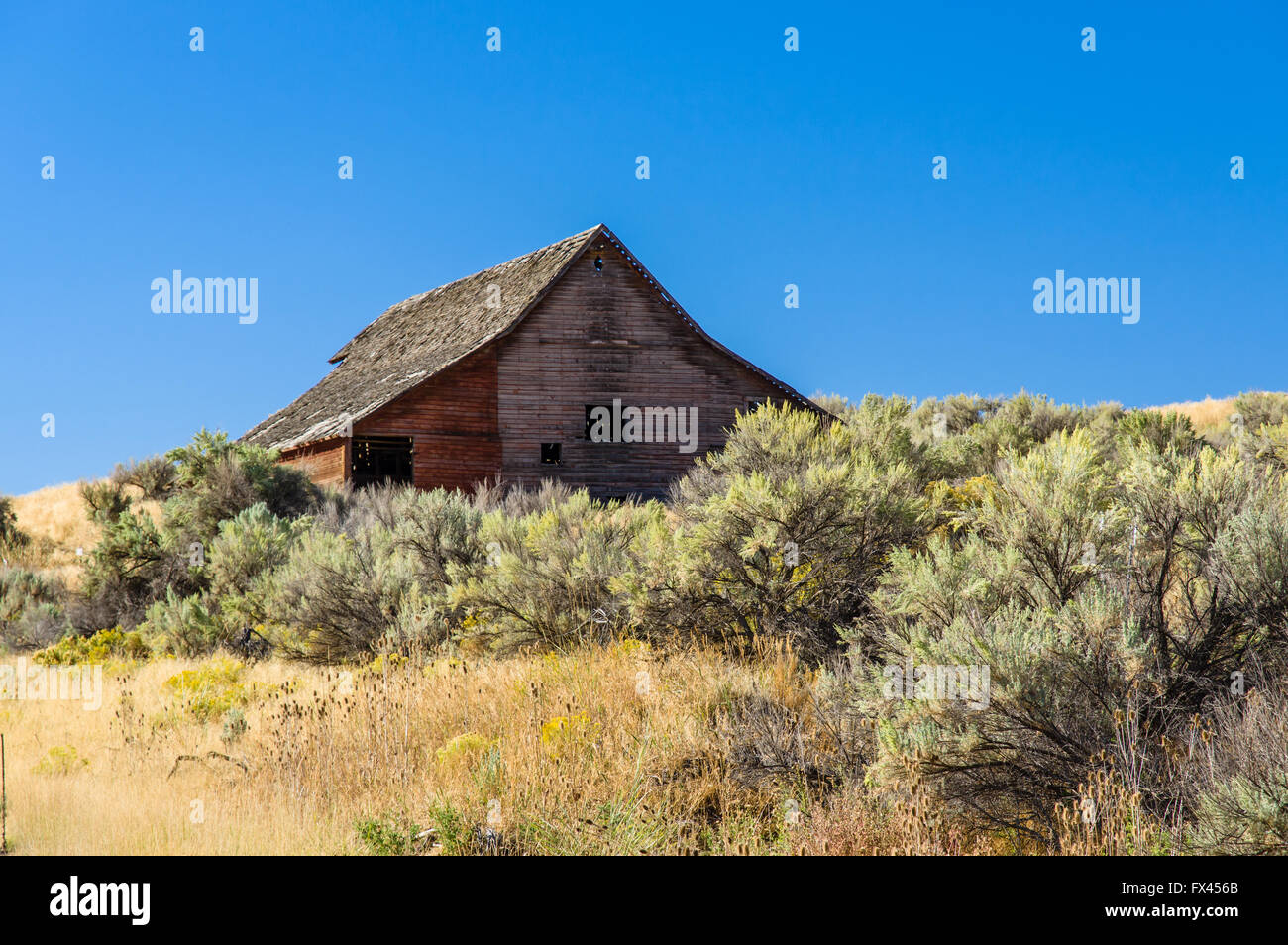 Abandoned wooden barn on a farm in eastern Oregon. Condon, Oregon Stock ...
