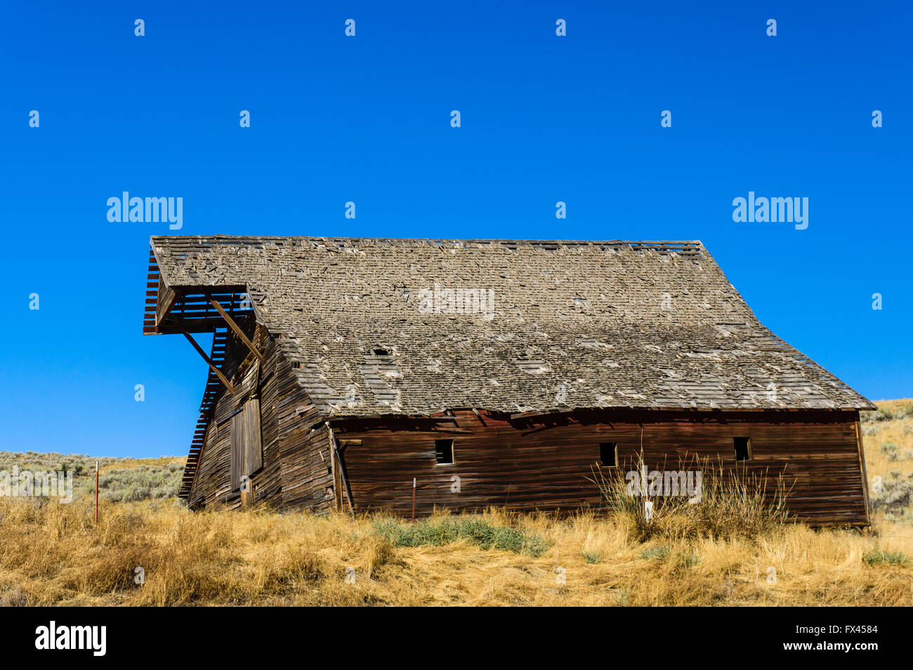 Abandoned wooden barn on a farm in eastern Oregon. Condon, Oregon Stock ...