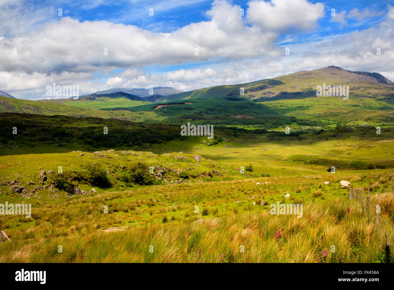A view across Welsh countryside Stock Photo - Alamy