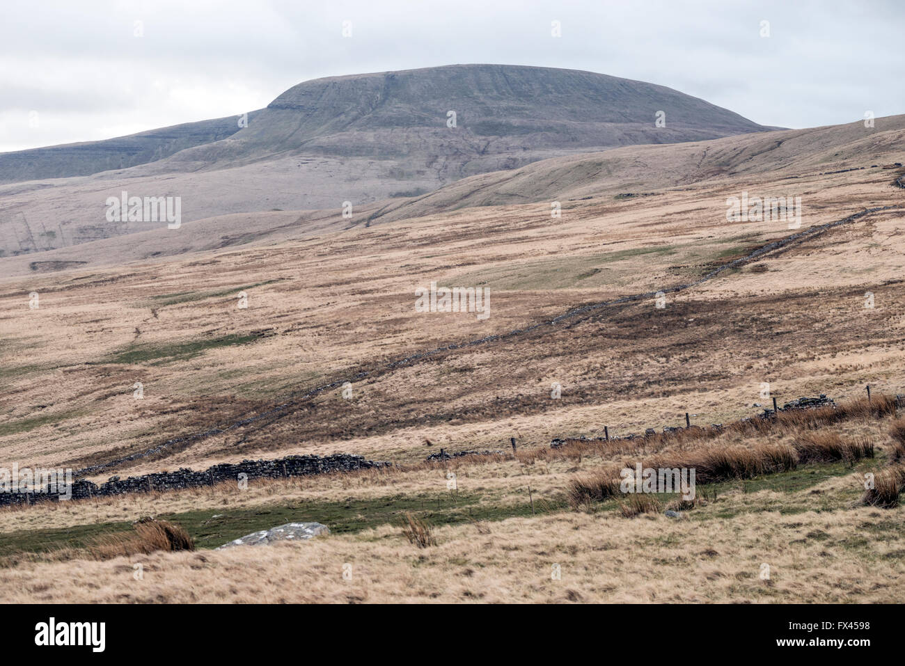 View of Fan Gyhirych Mountain in the Western Brecon Beacons from Bwlch ...