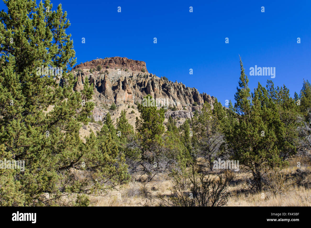 John day formation hi-res stock photography and images - Alamy