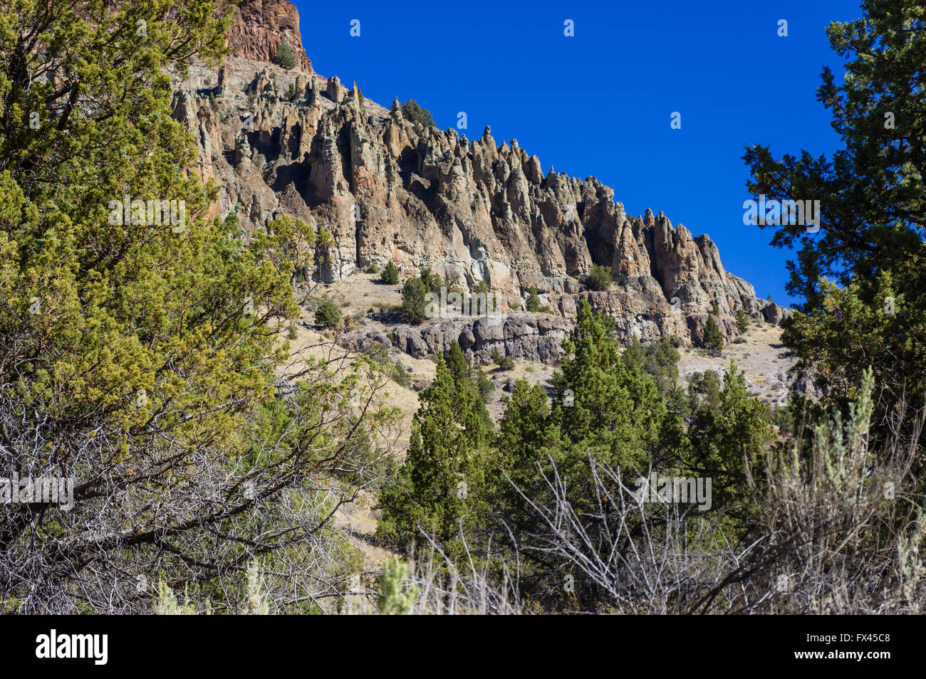 The Palisades rock formation is part of the John Day Fossil Beds ...