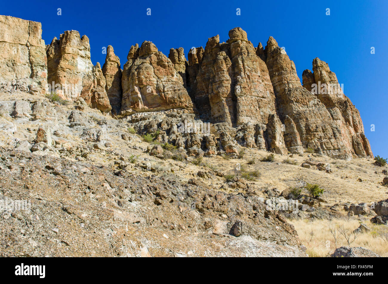 Rock formation and fossil hi-res stock photography and images - Alamy