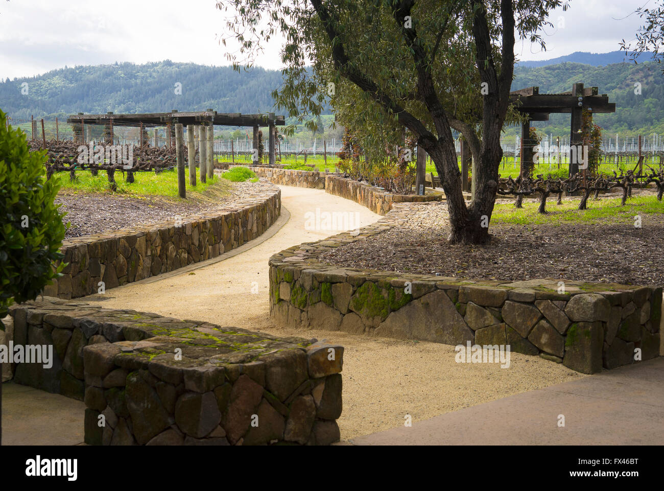 ROBERT MONDAVI WINERY in legendary Napa valley ,California Stock Photo ...