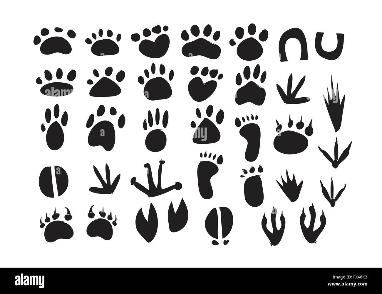 Ostrich foot Cut Out Stock Images & Pictures - Alamy