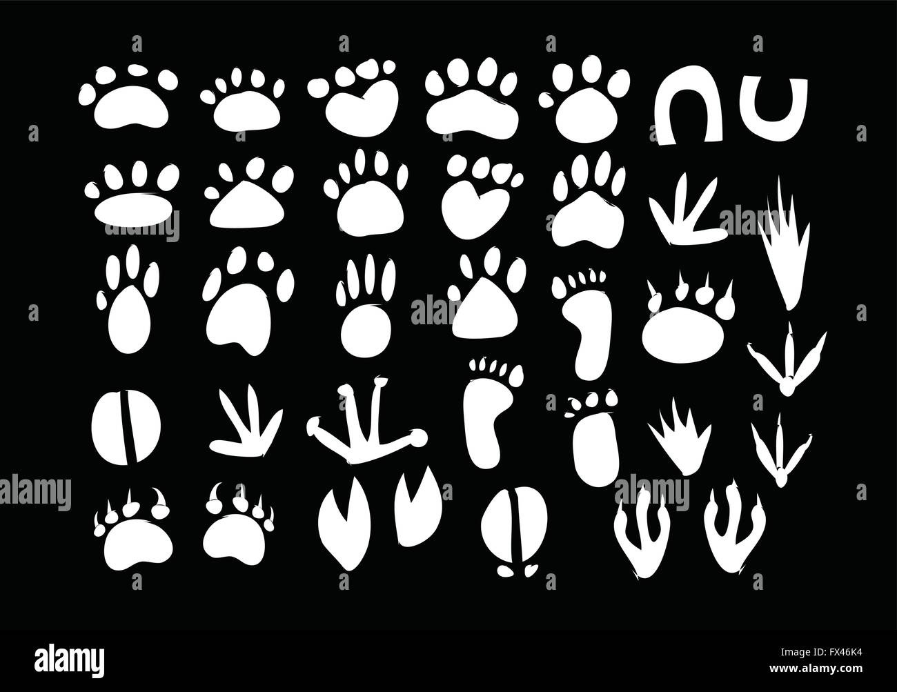 Monkey footprint hi-res stock photography and images - Alamy