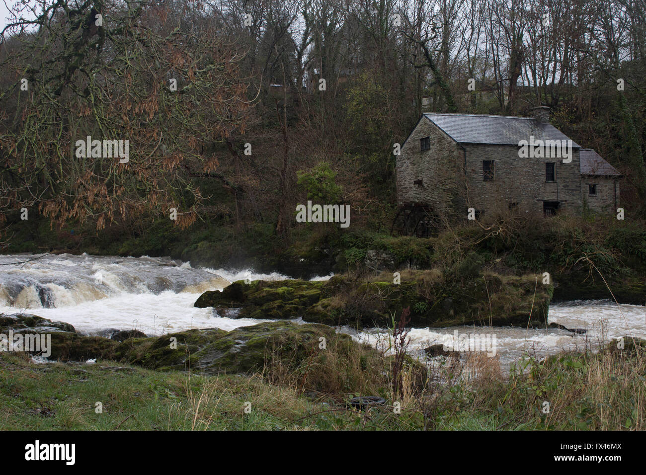 The old water mill on the river Teifi in Cenarth, Ceredigion Stock ...