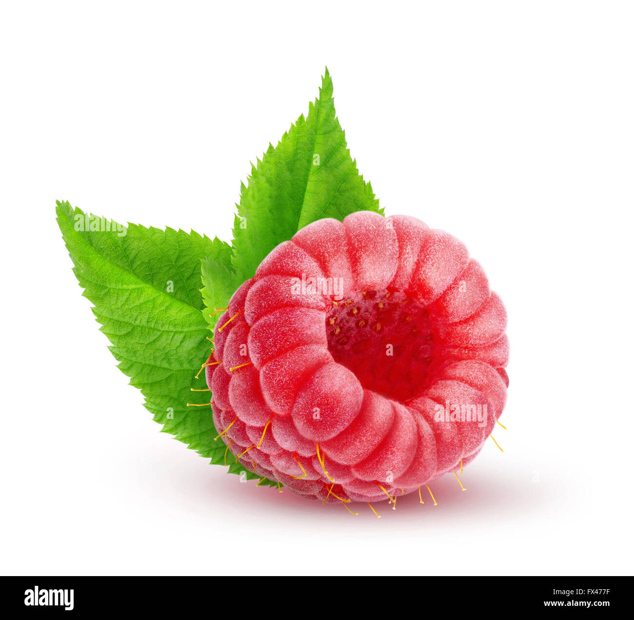 One raspberry with leaves isolated on white with clipping path Stock ...