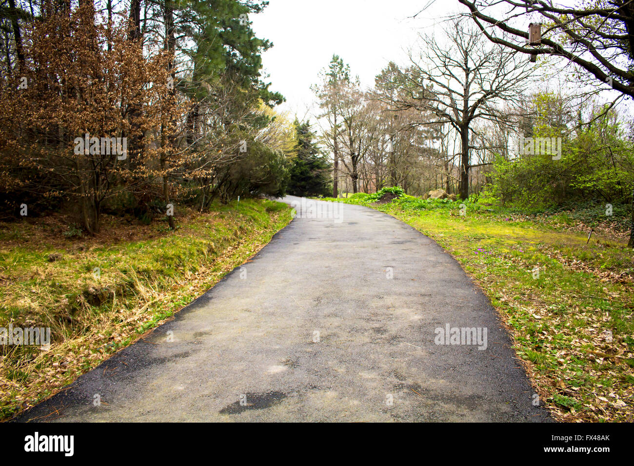 Road in park in Istanbul Stock Photo - Alamy