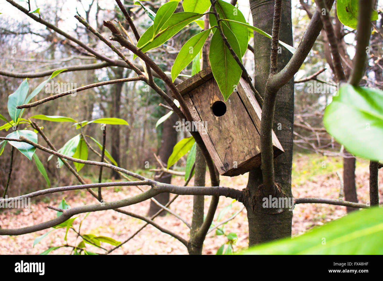 Bird house at park in Istanbul Stock Photo - Alamy