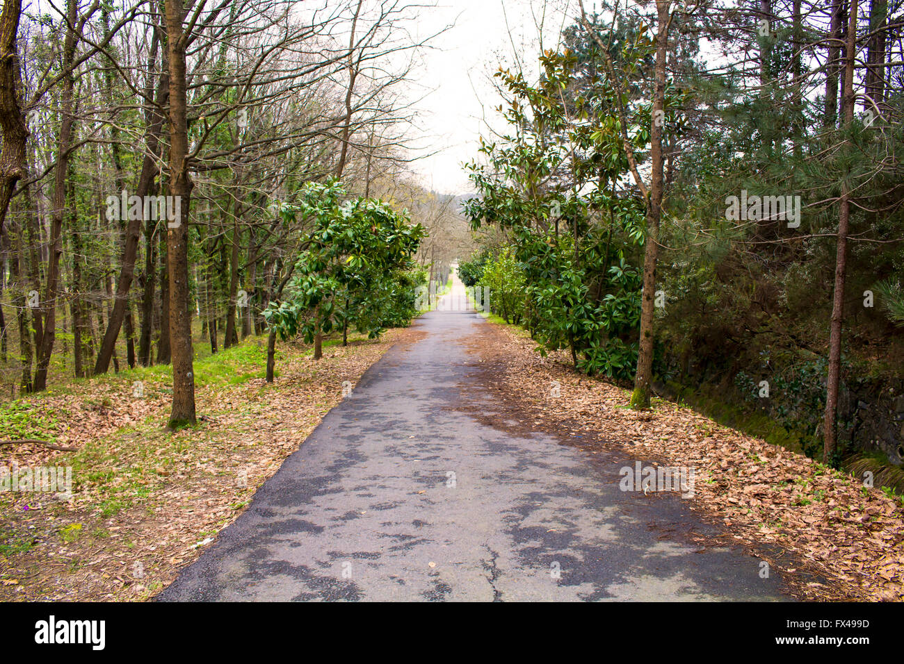 Road in istanbul hi-res stock photography and images - Alamy
