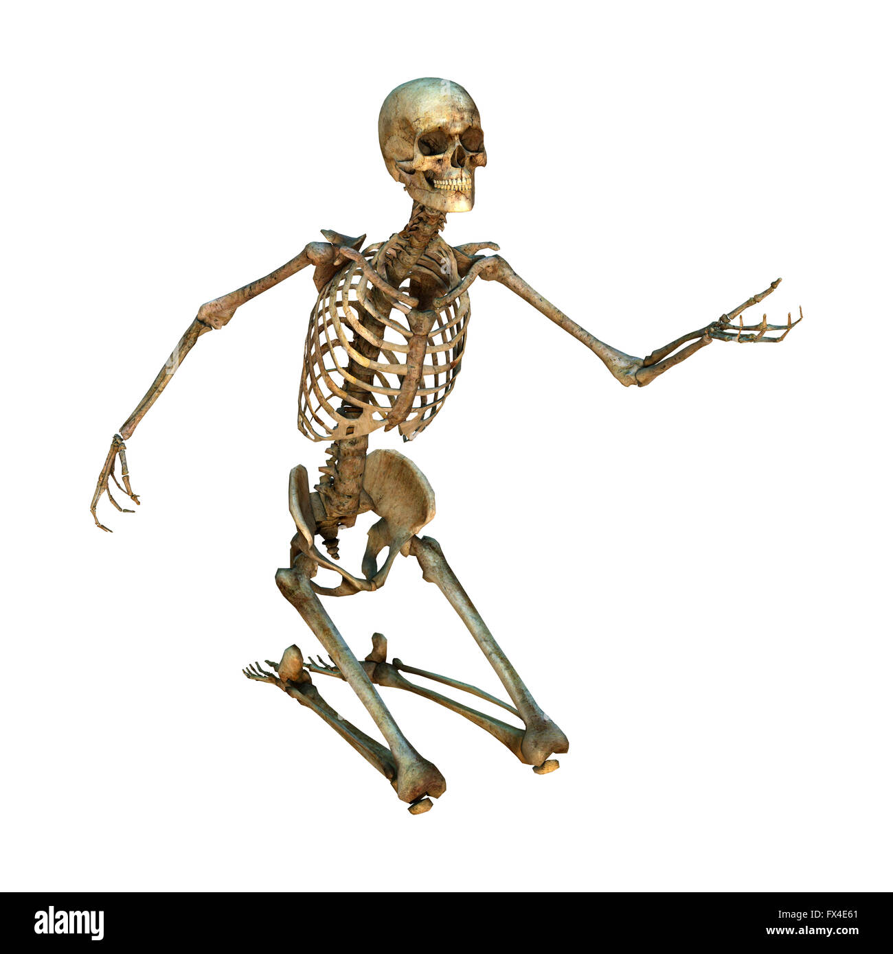 Kneeling skeleton hi-res stock photography and images - Alamy