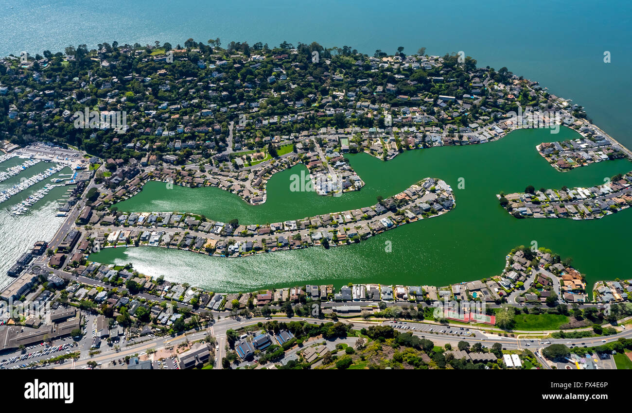 Aerial view, houses on the waterfront, Peninsula Belvedere Tiburon, San ...