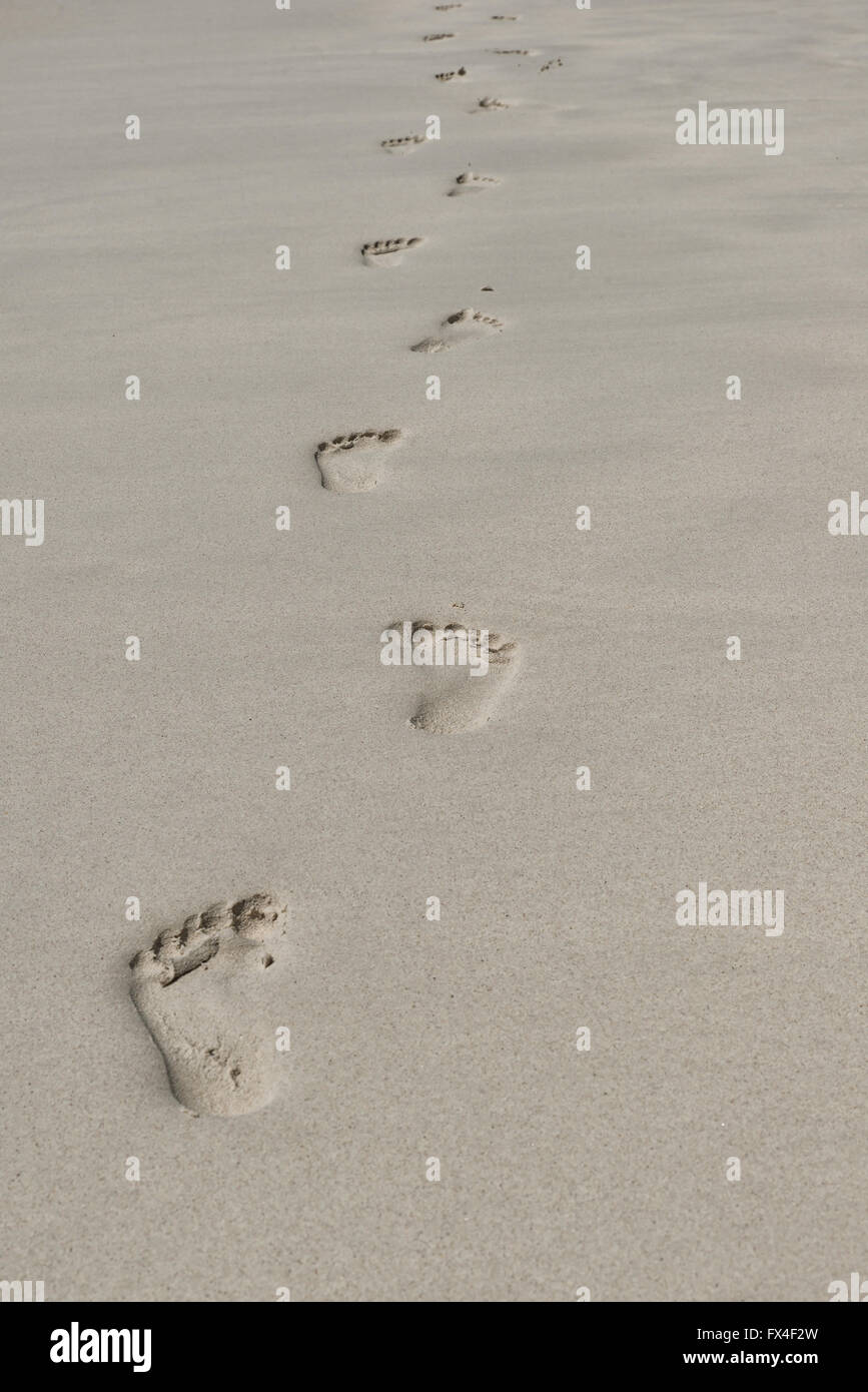 Footprints in the sand at the beach hi-res stock photography and images ...