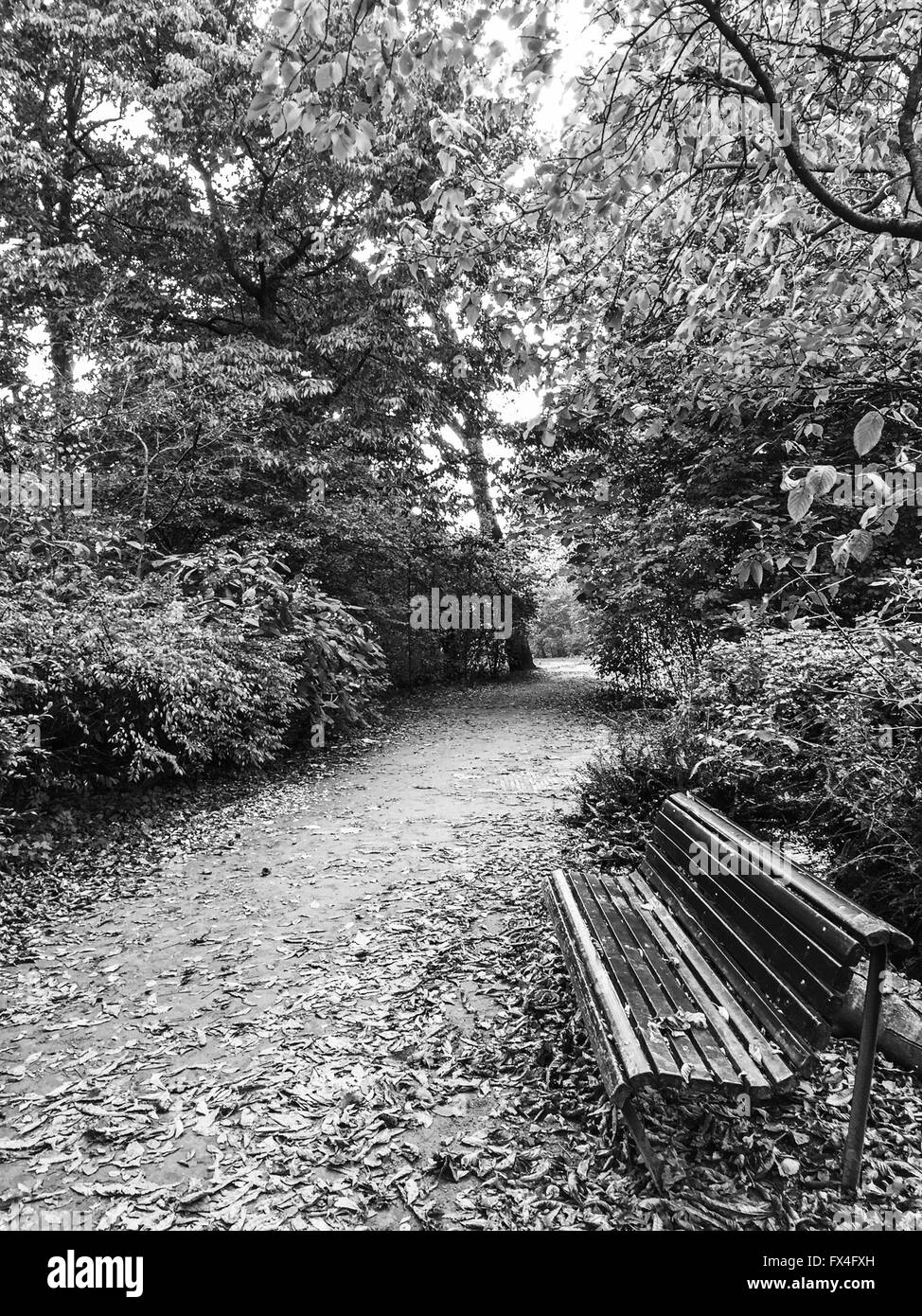 Garden path Black and White Stock Photos & Images - Alamy