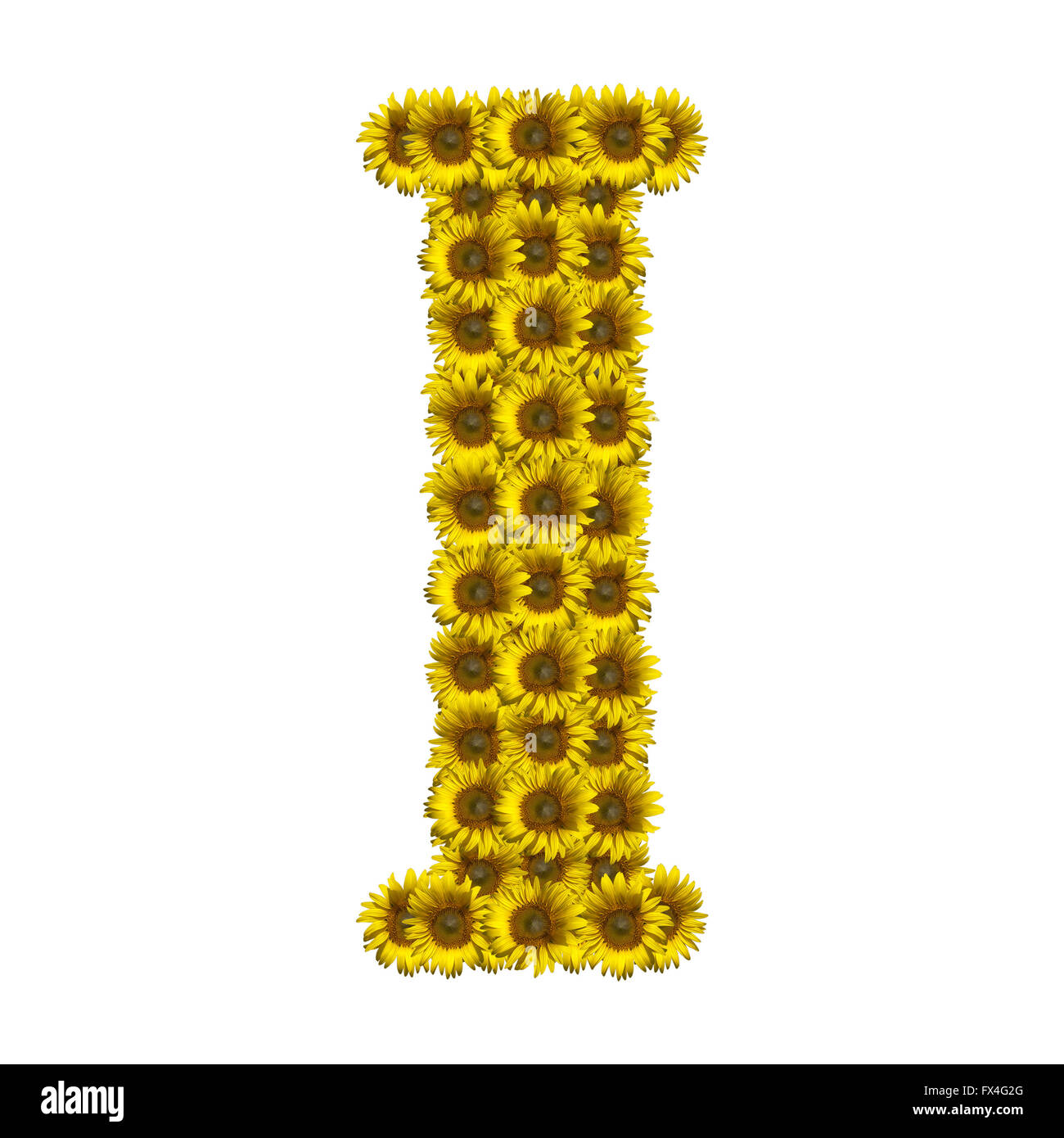 Sunflower alphabet isolated on white hi-res stock photography and ...