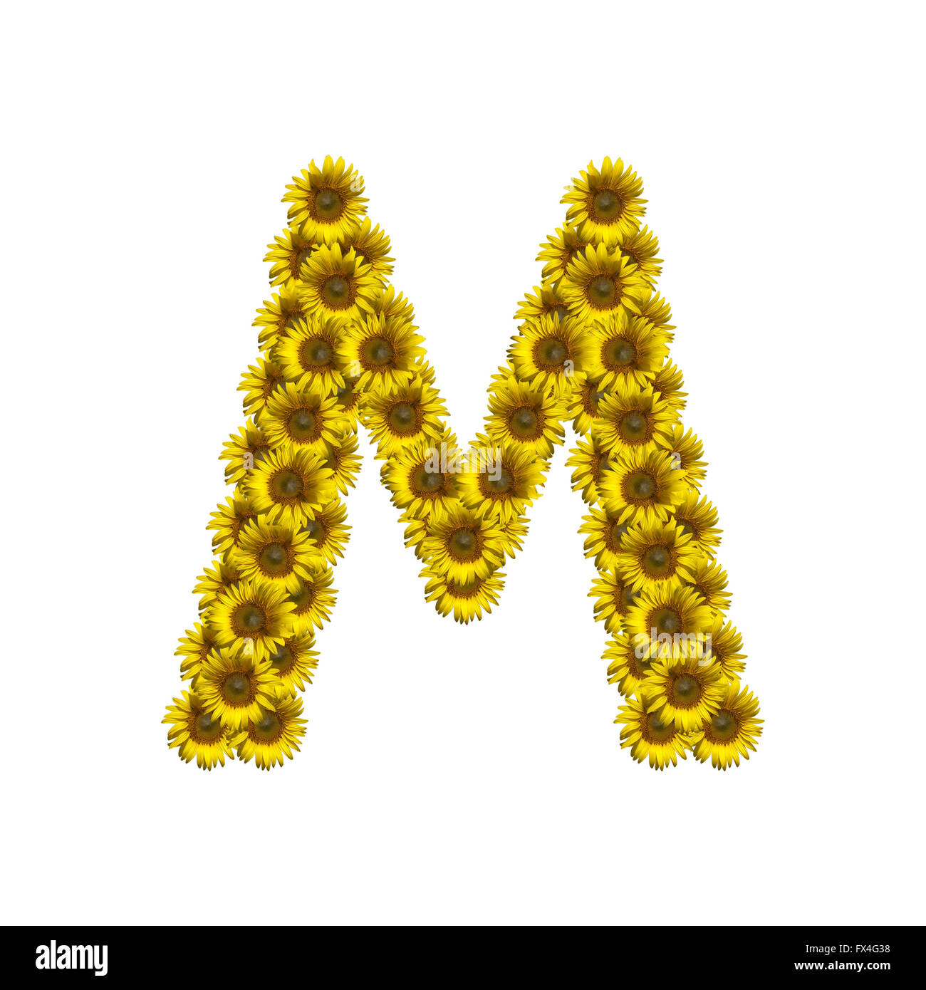 Sunflower alphabet isolated on white hi-res stock photography and ...