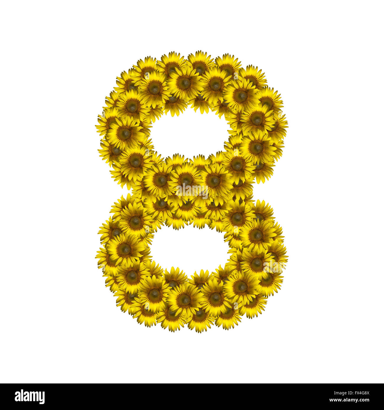Sunflower number isolated on white background, number 8 Stock Photo - Alamy