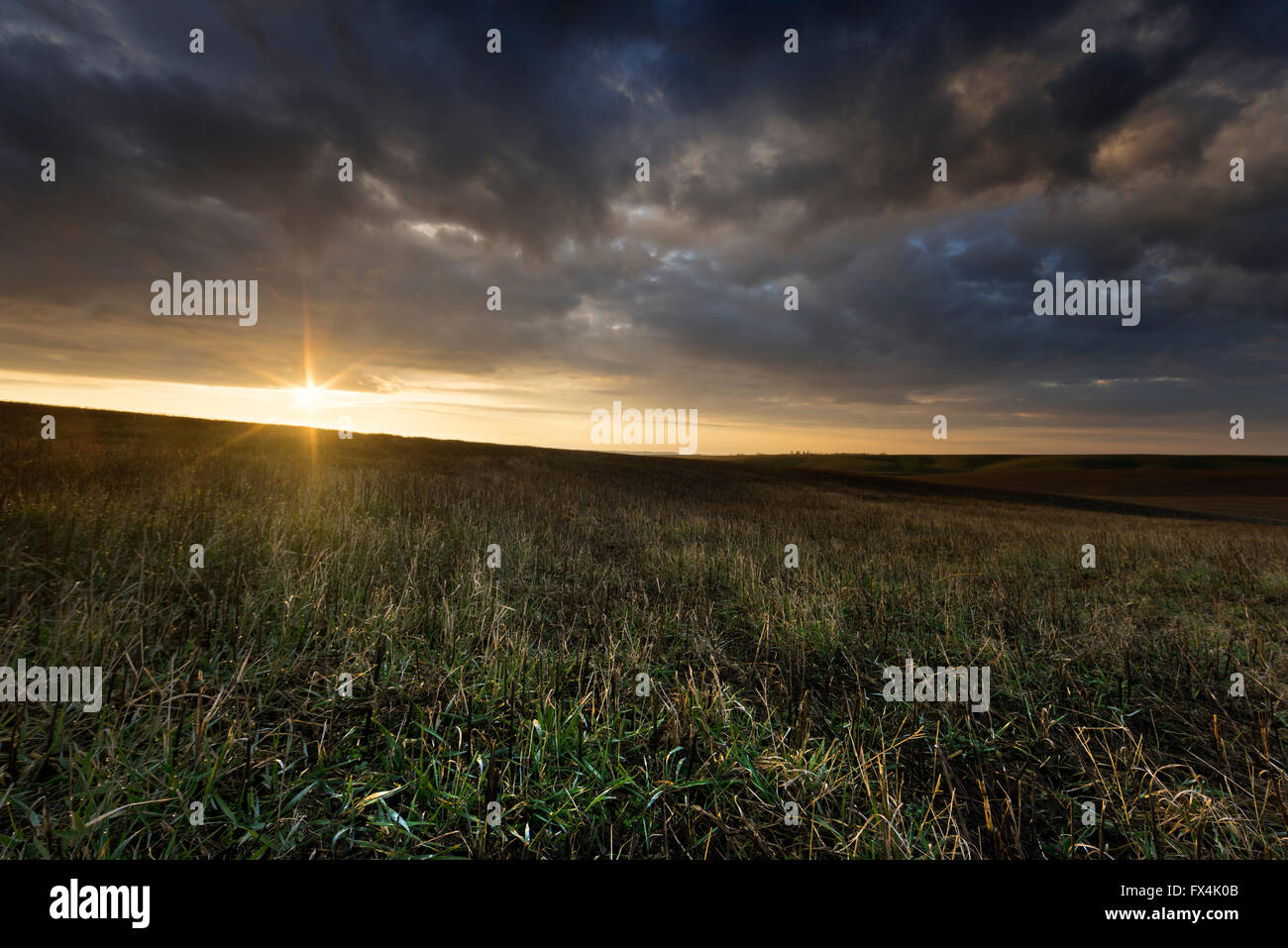Overcast spring morning Stock Photo - Alamy