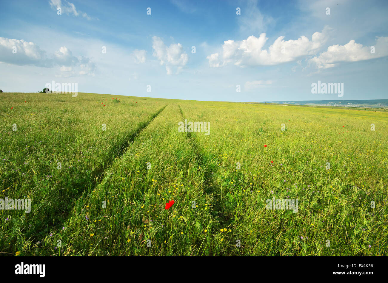 Lane meadow hi-res stock photography and images - Alamy