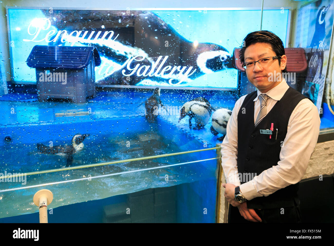 Penguin bar japan hi-res stock photography and images - Alamy