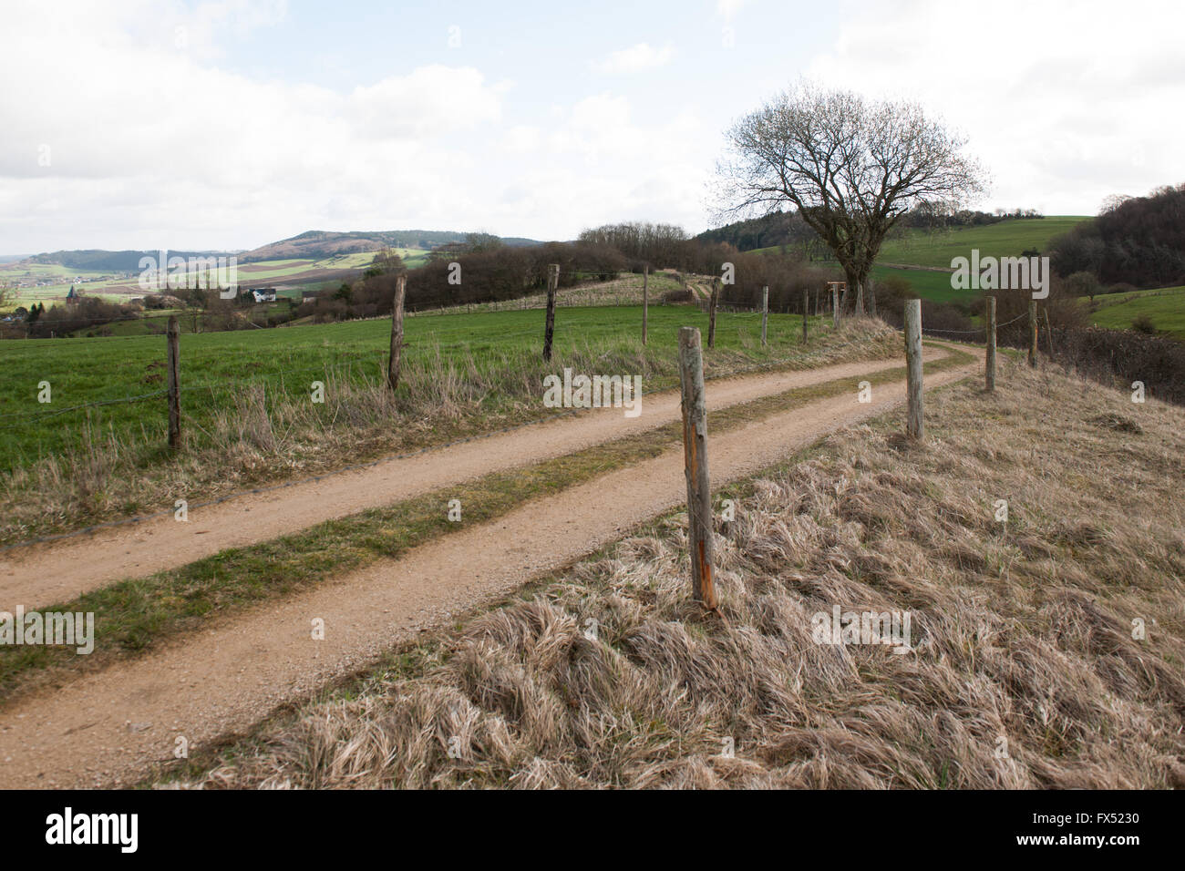 Picture of a Landscape, taken on 07/04/2016 in Büdesheim Stock Photo ...