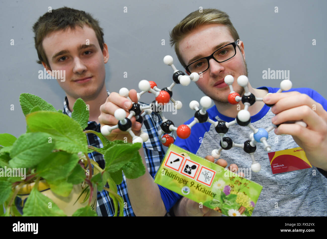 Leberkrebs hi-res stock photography and images - Alamy