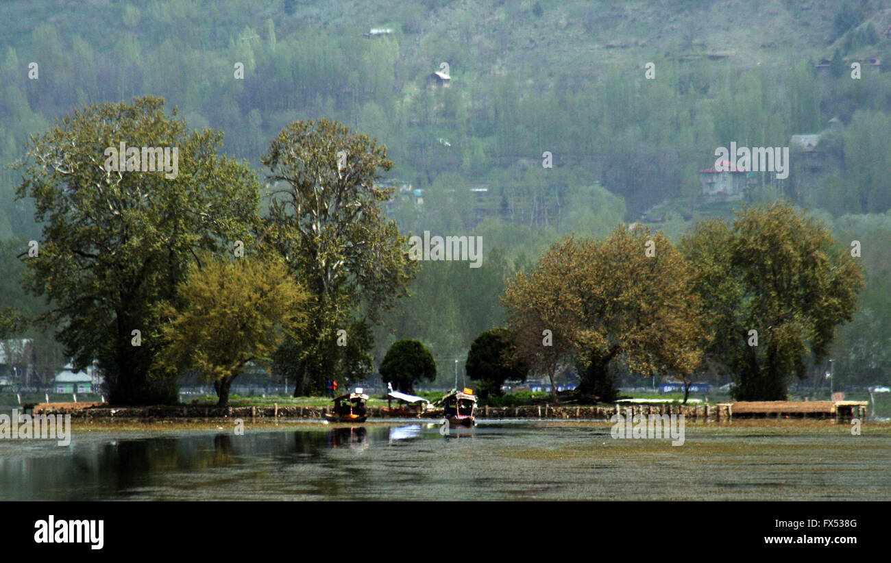 Srinagar, Indian Administered Kashmir. 12th April, 2016. Kashmiri man ...
