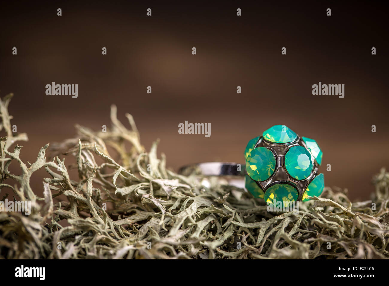 Simple ringlet with glass inserts Stock Photo - Alamy