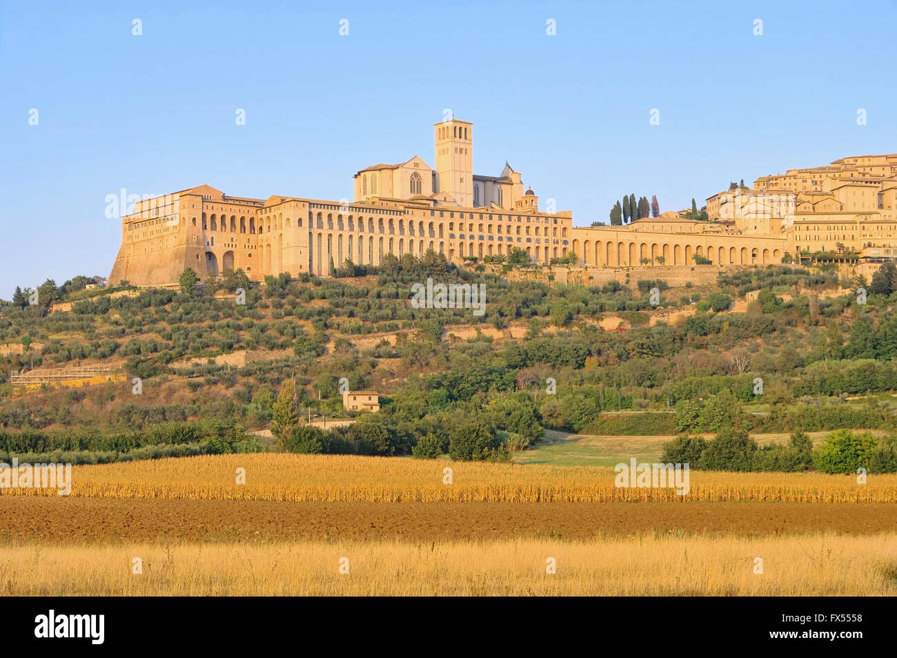 Kathedrale basilika st francis assisi hi-res stock photography and ...
