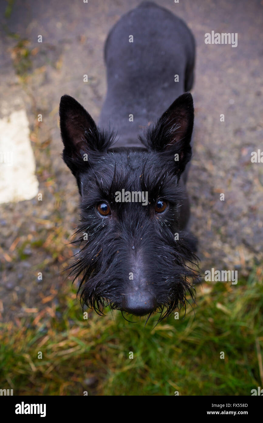 Training skills hi-res stock photography and images - Alamy