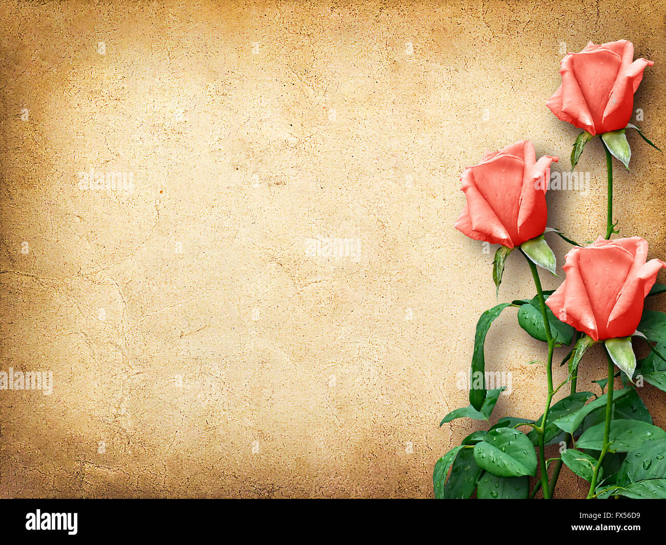 Congratulations card with roses hi-res stock photography and images - Alamy