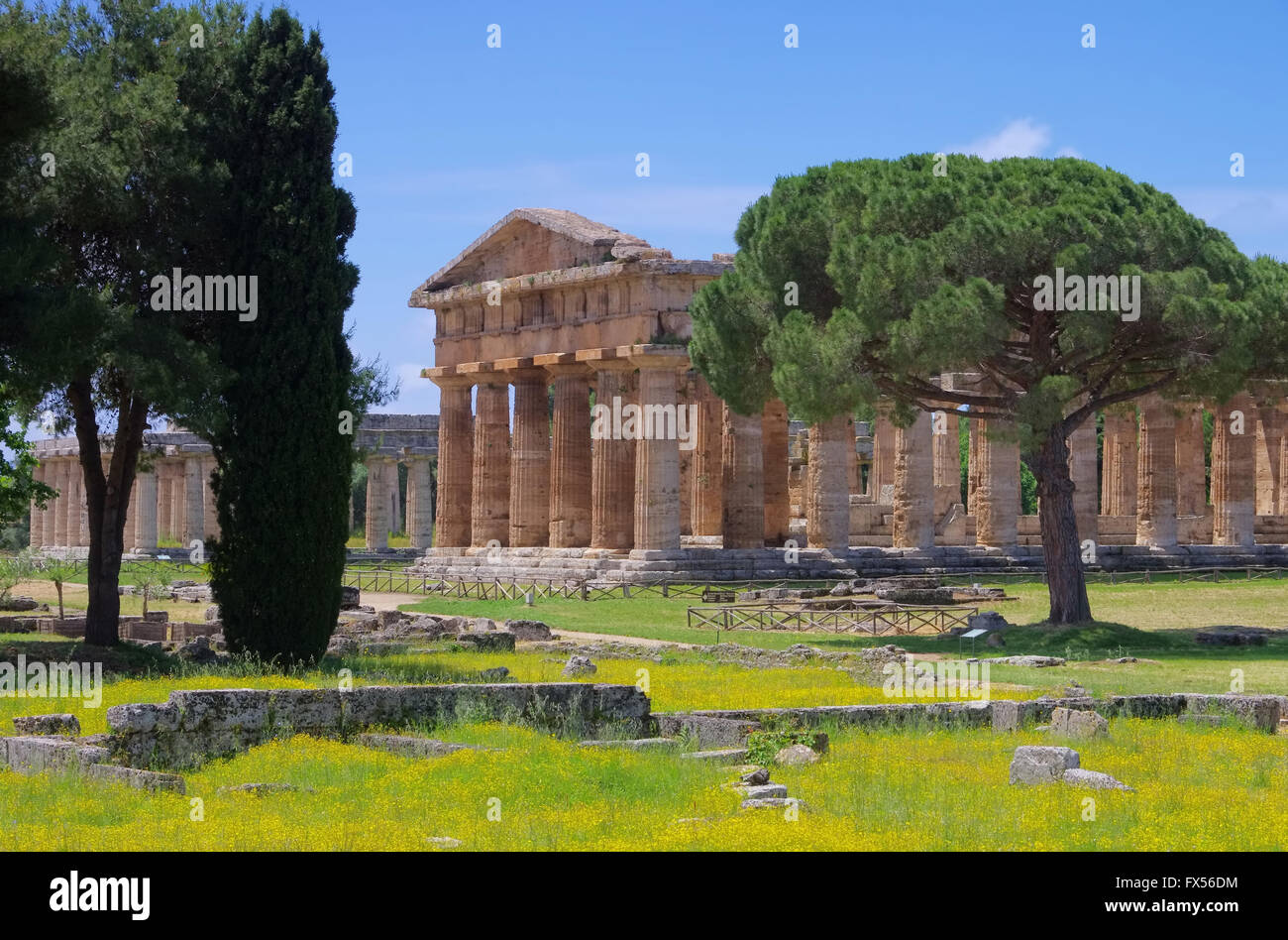 Zeus hera tree hi-res stock photography and images - Alamy