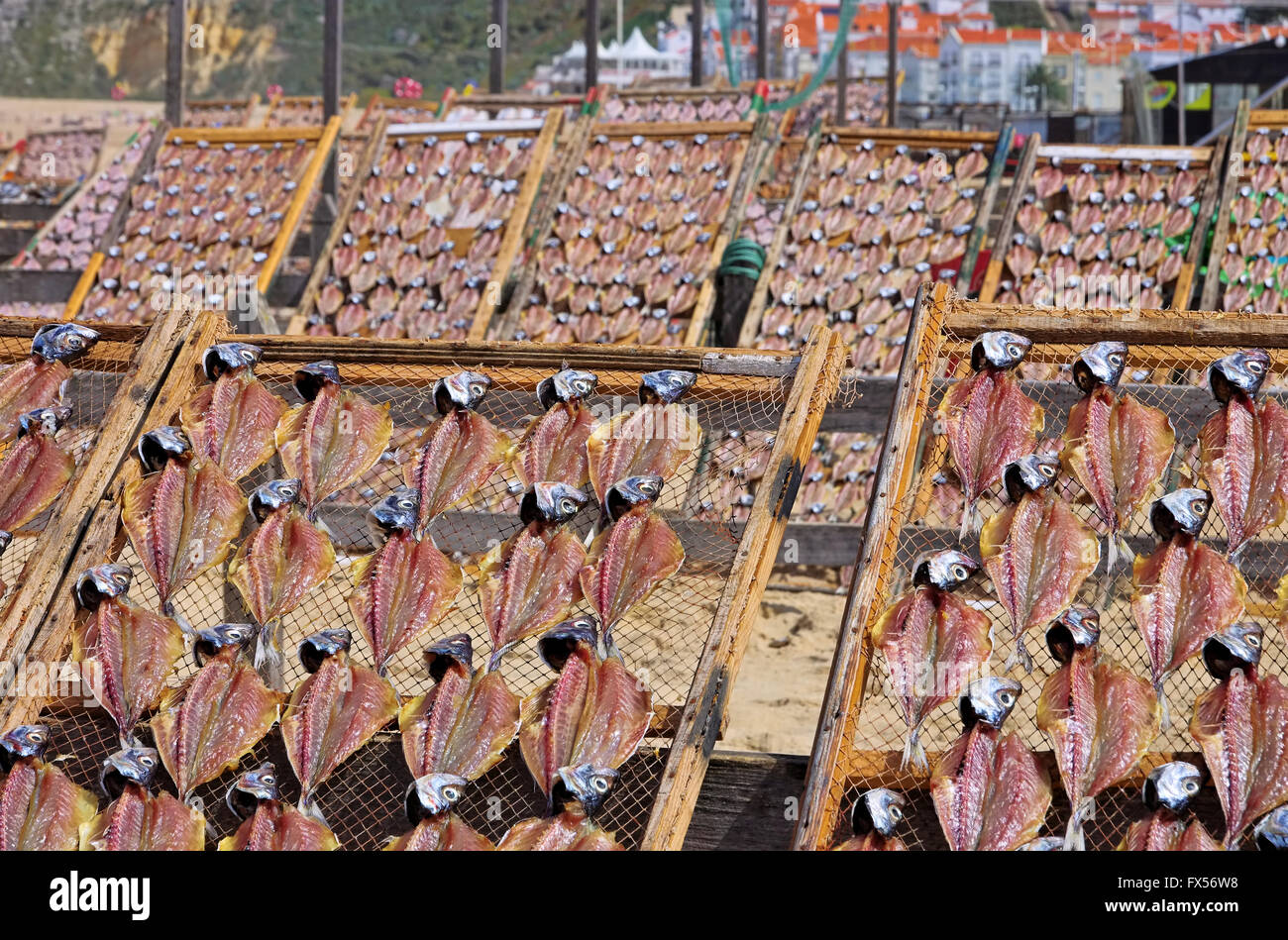 Stockfisch - Stockfish 02 Stock Photo - Alamy