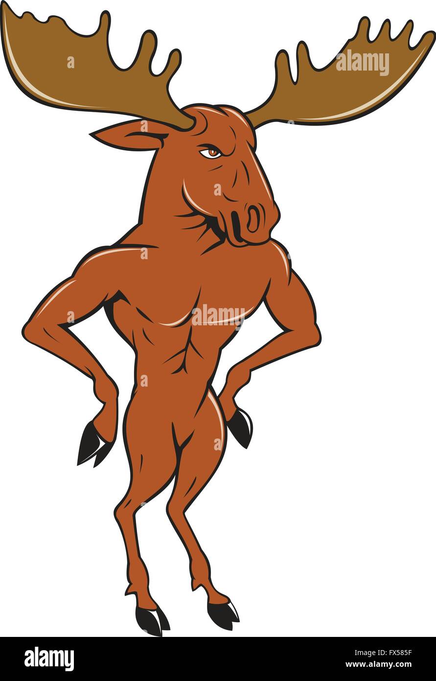 Illustration of a moose standing hands akimbo on hips looking to the ...