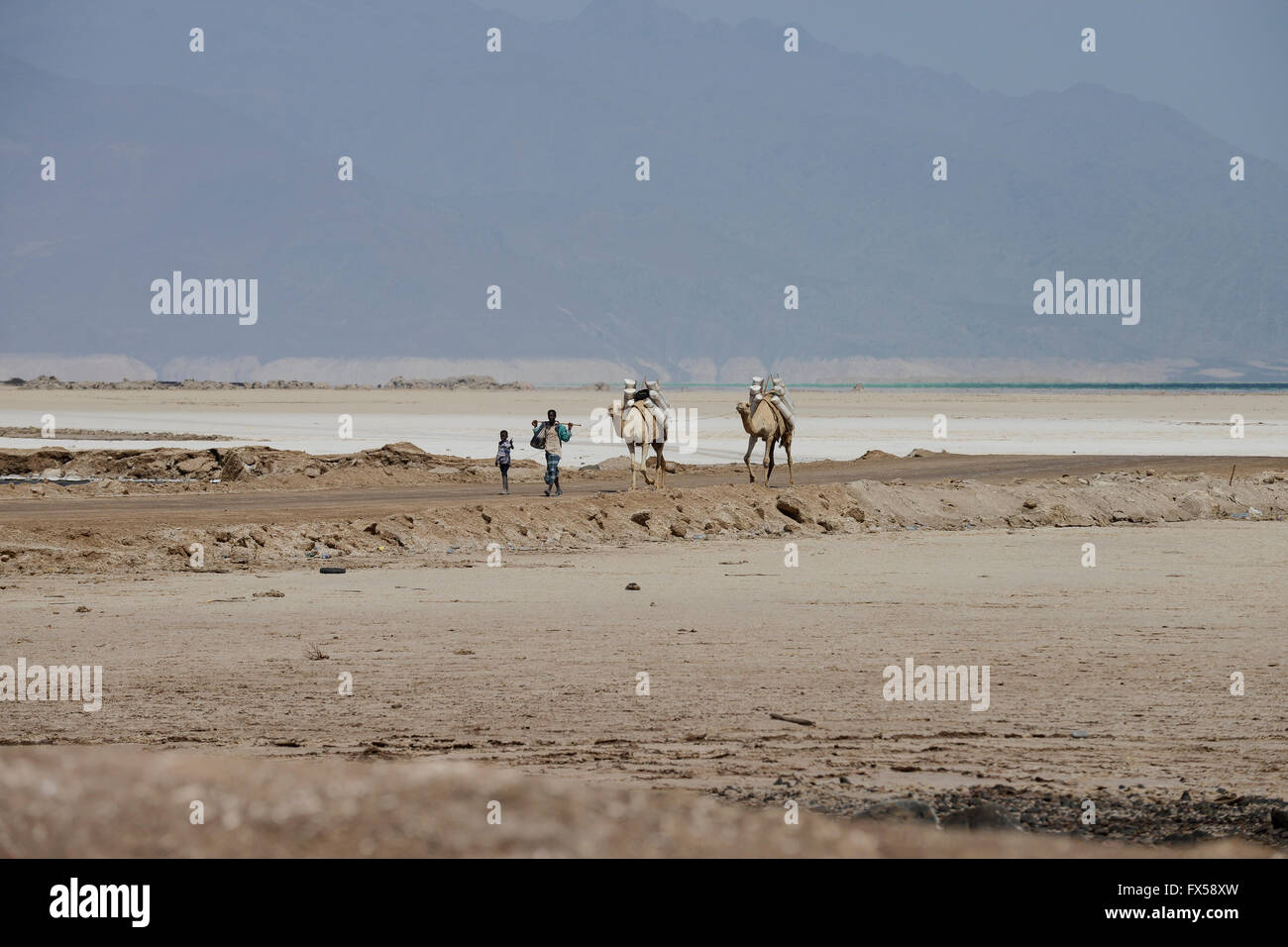 DJIBOUTI salt lake Lac Assal / DSCHIBUTI, Salzsee Lac Assal Stock Photo ...