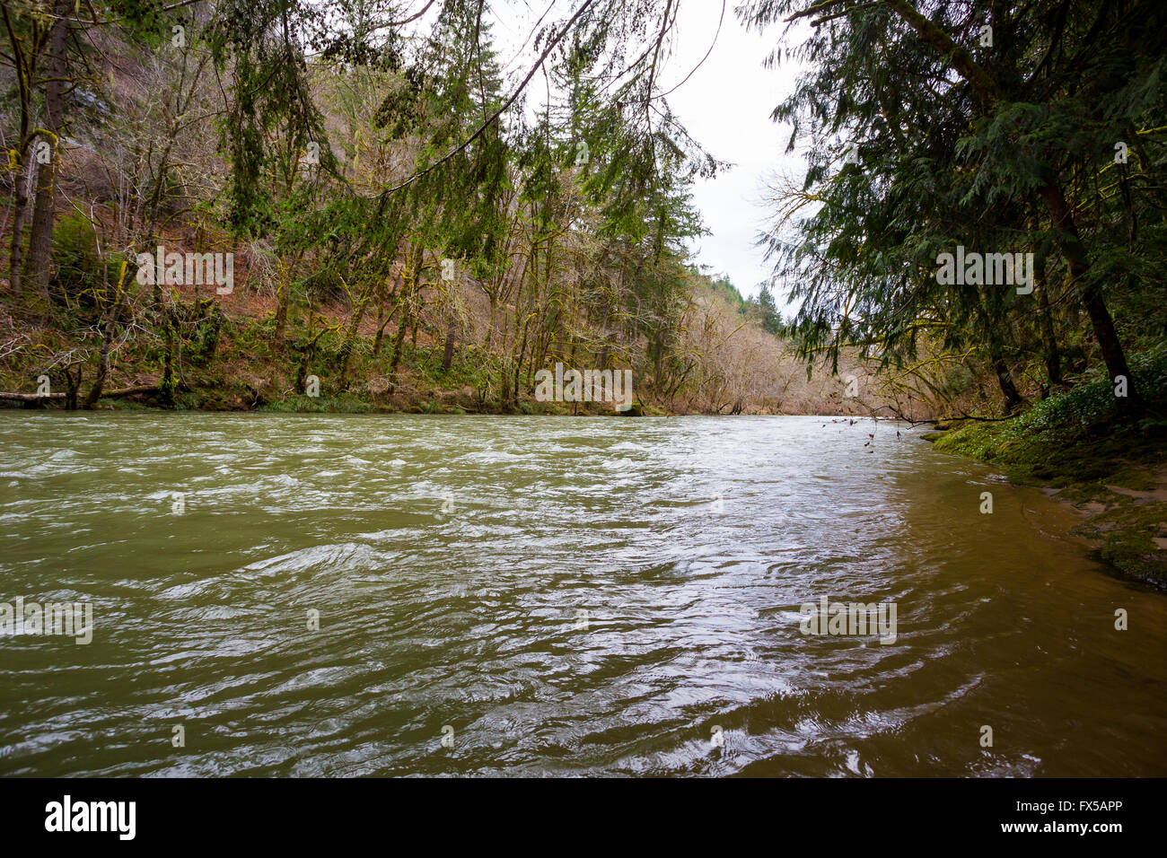 Flood flows hi-res stock photography and images - Alamy