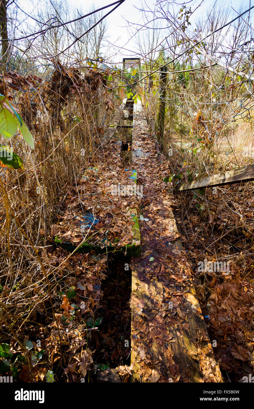 Very old swinging bridge crosses the Siuslaw River near Mapleton Oregon ...