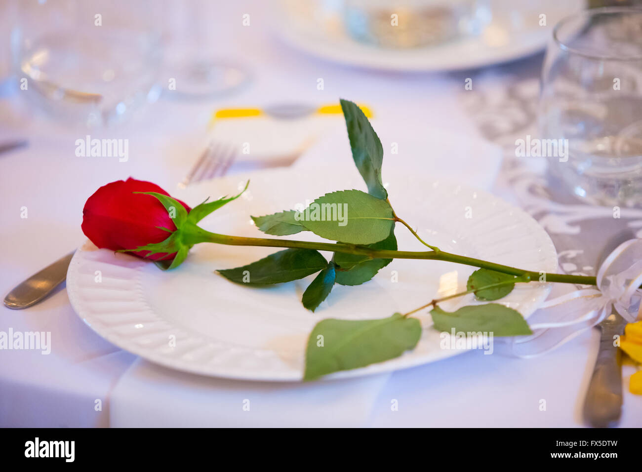 Romantic red rose on a dinner plate at a wedding reception Stock Photo ...